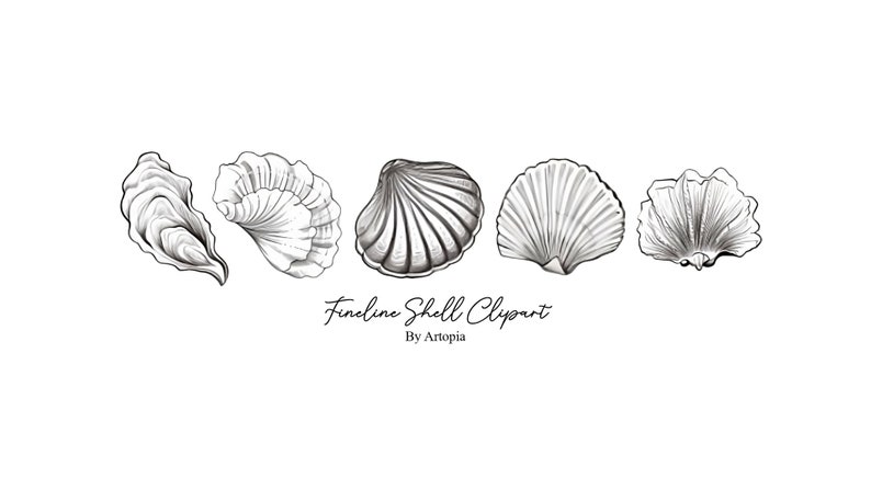 Fineline Seashells Clipart, PNG Images, Seashells, Thin Line, Instant ...