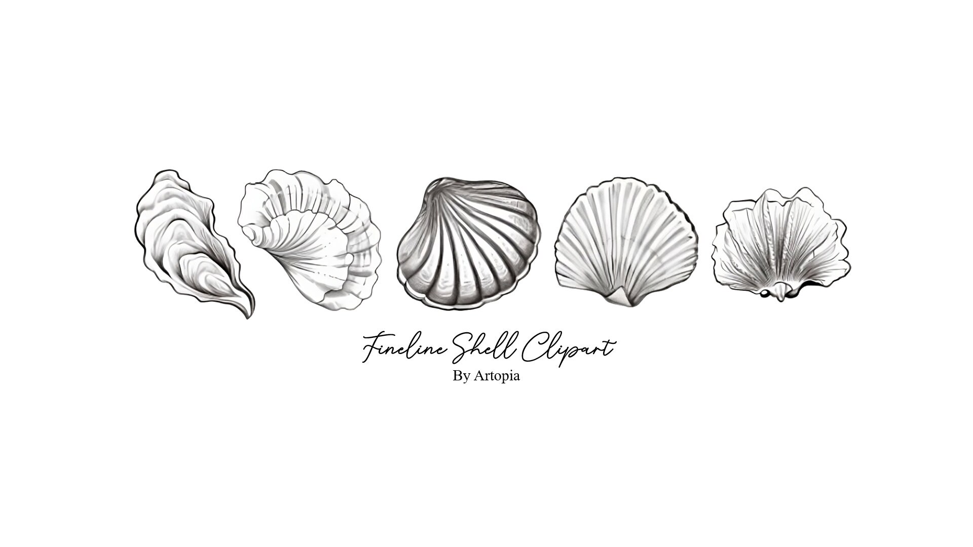 Fineline Seashells Clipart, PNG Images, Seashells, Thin Line, Instant ...
