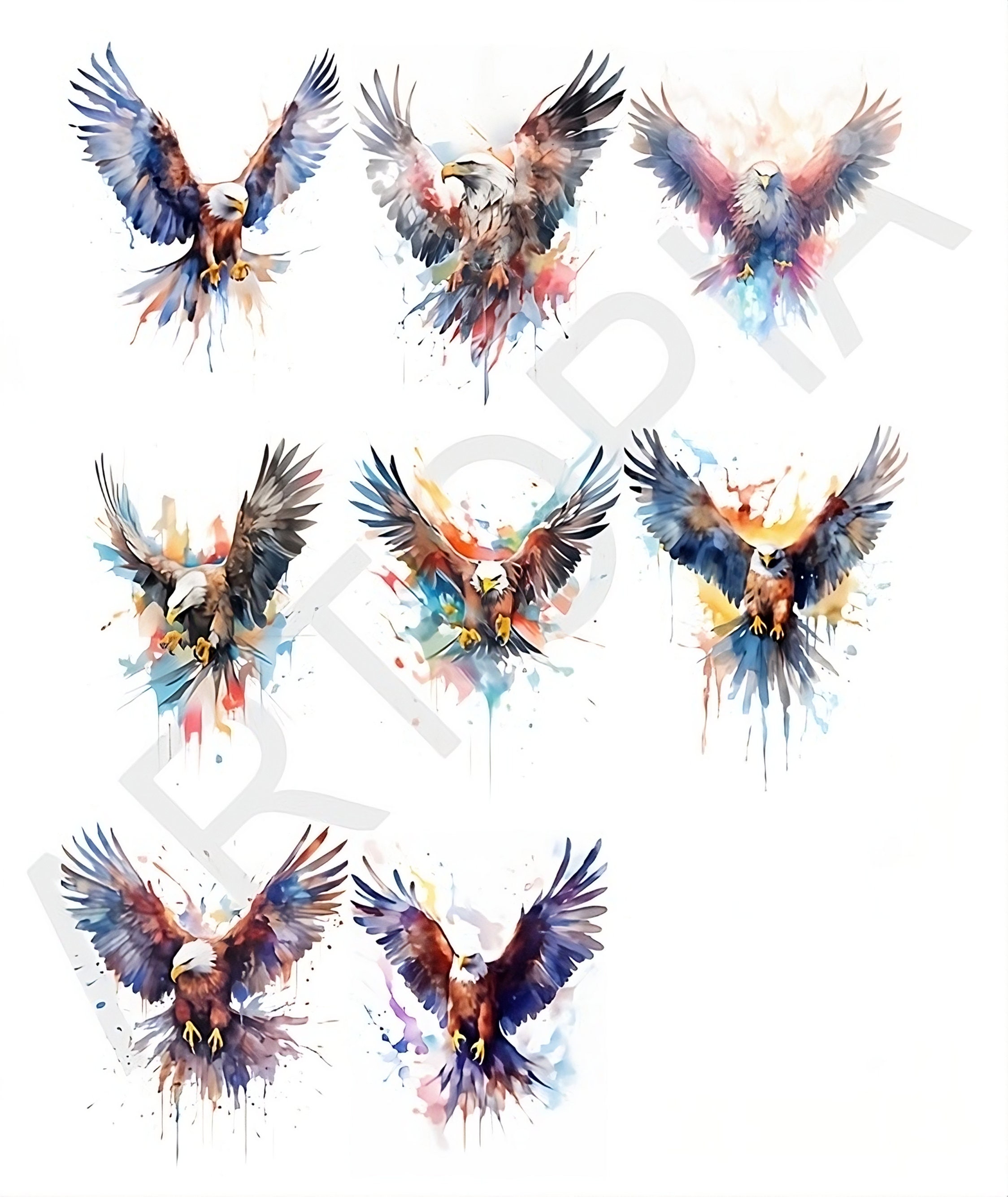 Watercolor Eagles Clipart, Bundle Eagles, Eagle Images, Watercolor ...