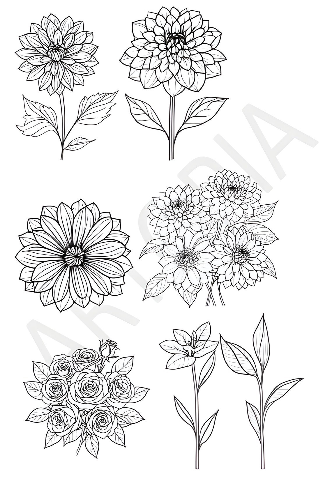 50 Thin Line Flower Bundle, Clipart Pack, Flowers, Thin Line Flowers ...