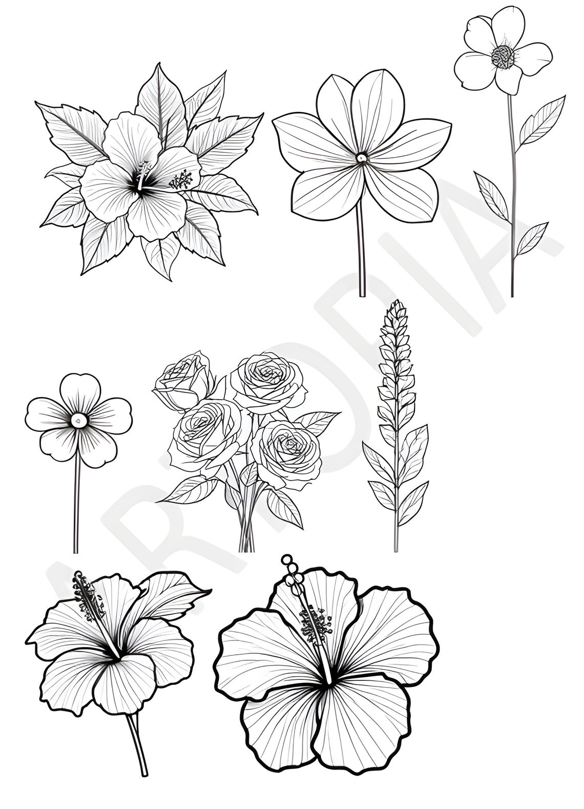 50 Thin Line Flower Bundle, Clipart Pack, Flowers, Thin Line Flowers ...