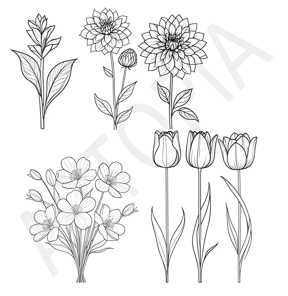 50 Thin Line Flower Bundle, Clipart Pack, Flowers, Thin Line Flowers ...