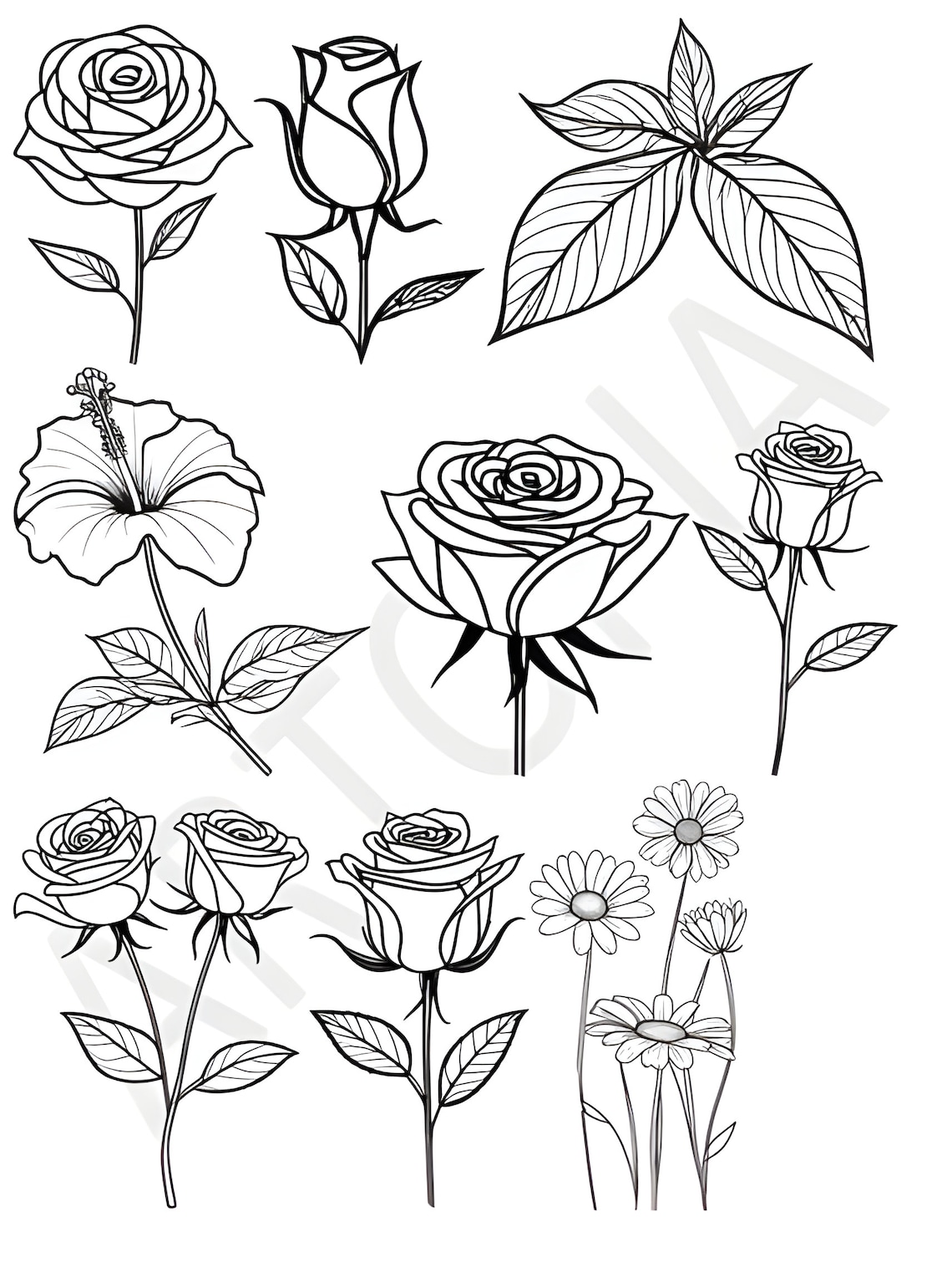 50 Thin Line Flower Bundle, Clipart Pack, Flowers, Thin Line Flowers ...