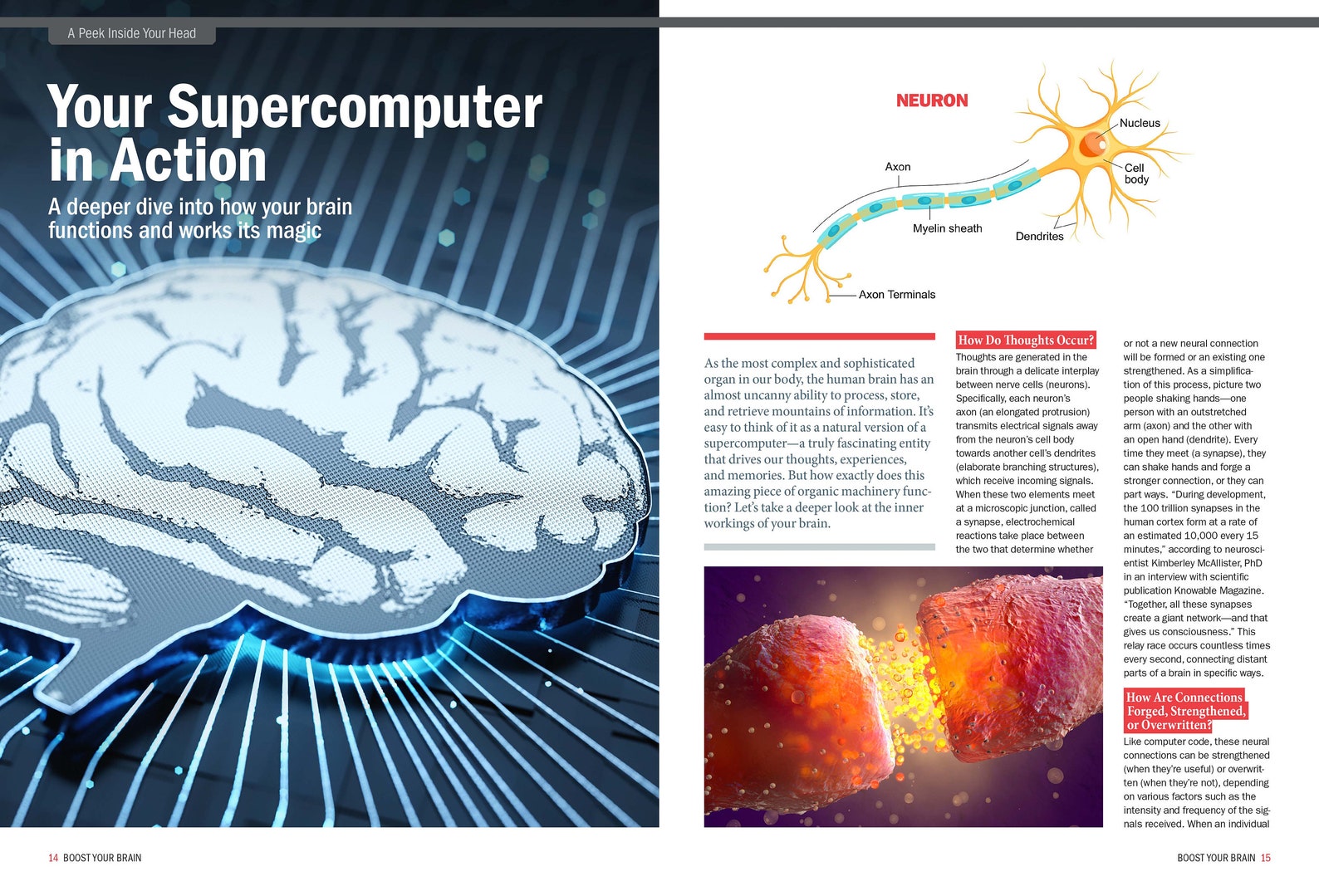 The Future of Your Brain Complete Guide: Improve Mental Function ...