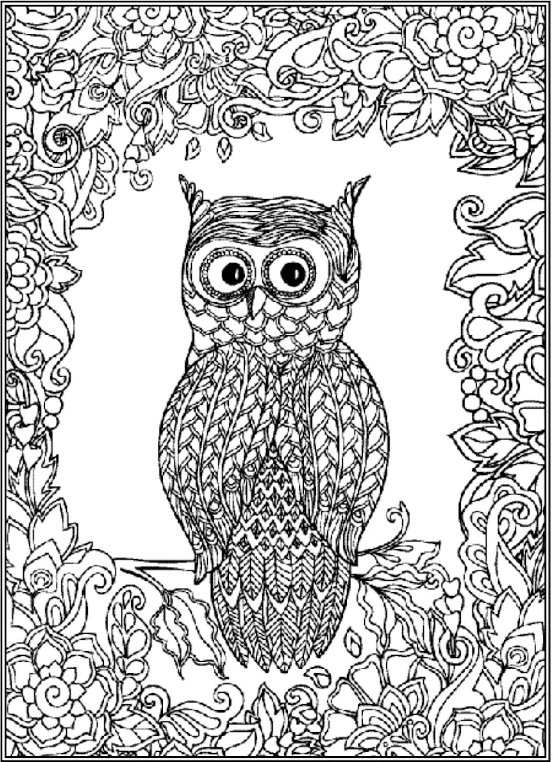 Coloring Pages For Adults Difficult Owls