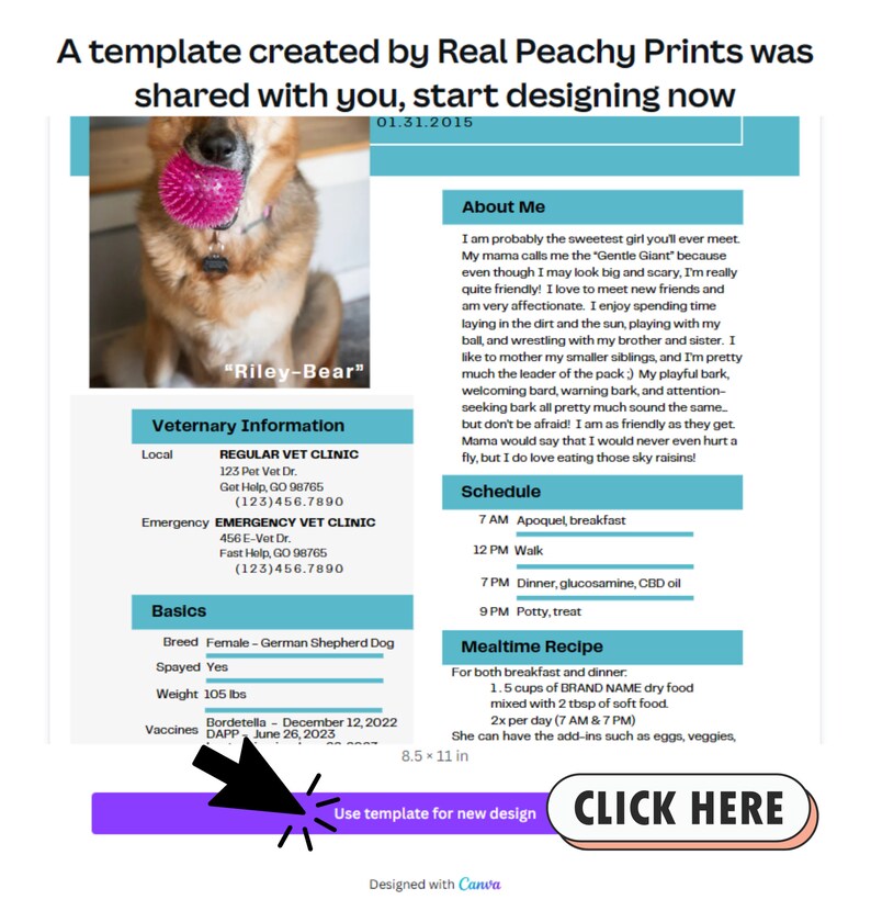 Pet Profile, Cat Dog Resume, House/pet Sitter Information, Pet Page ...