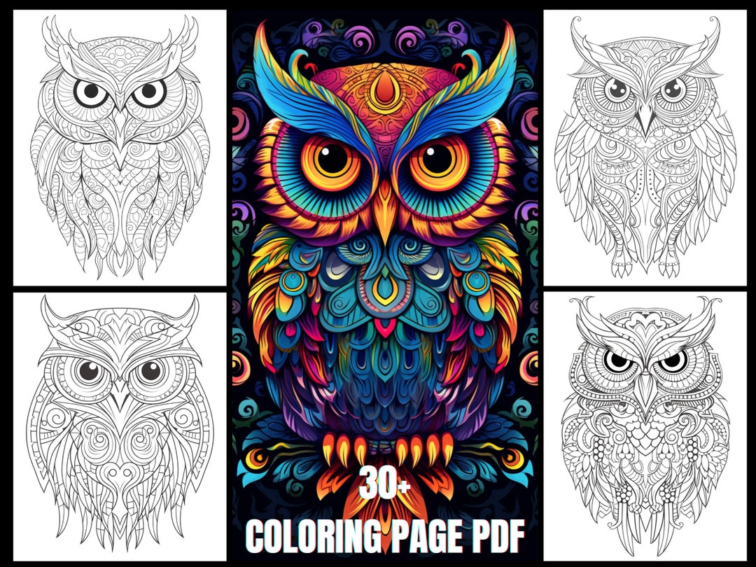 Engaging Owl Coloring Pages – Digital Download, Fun Activity for Kids ...