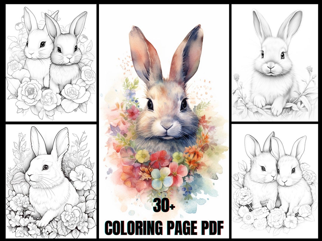 Delightful Bunny Coloring Pages Detailed Artistry for Adults & Teens ...