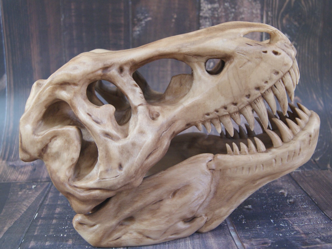 Realistic T-rex Skull Display Replica With Stand | Tyrannosaurus Rex - Etsy