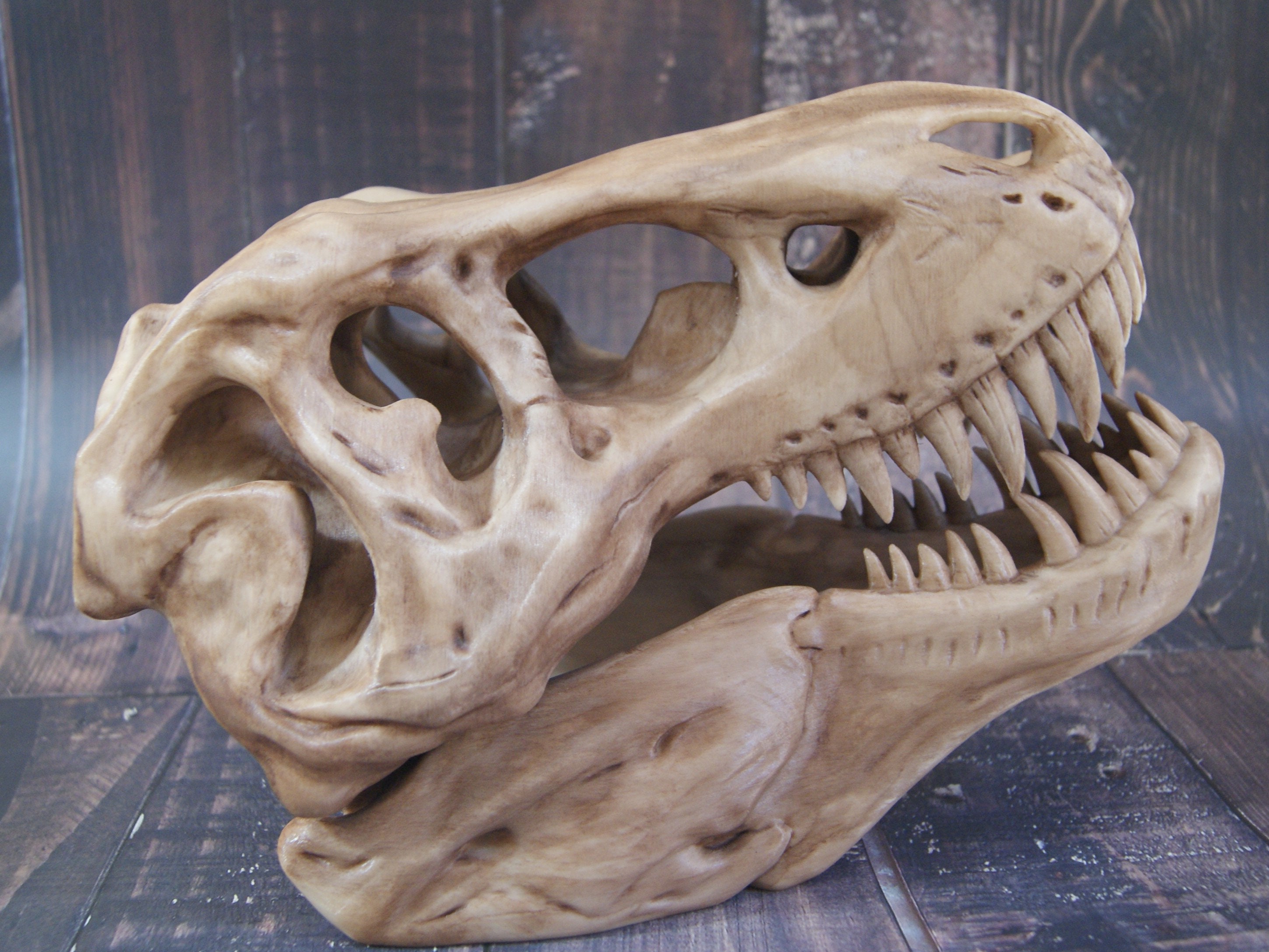 Realistic T-rex Skull Display Replica With Stand | Tyrannosaurus Rex - Etsy