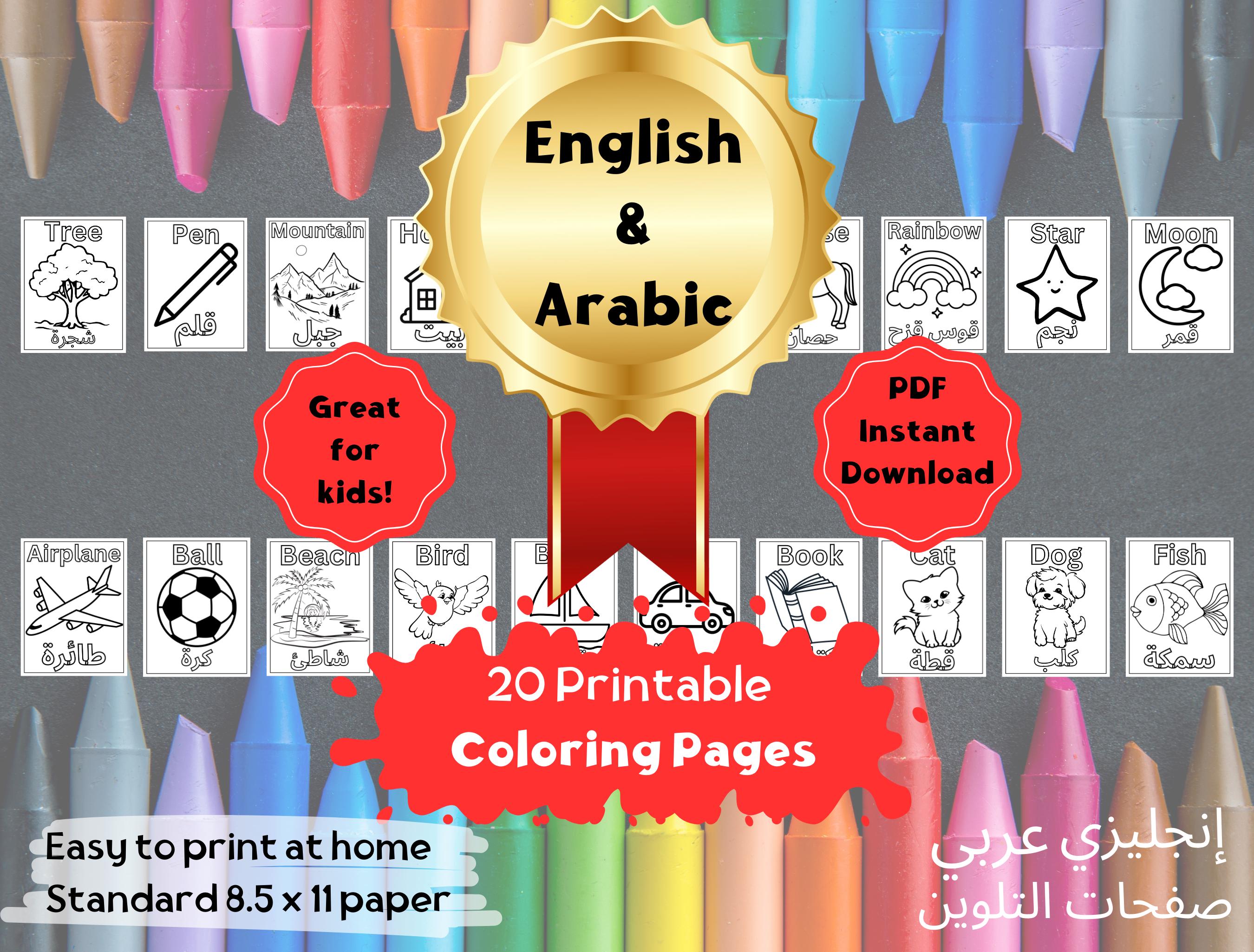 English and Arabic Coloring Pages for Kids Fun & Educational Activity ...