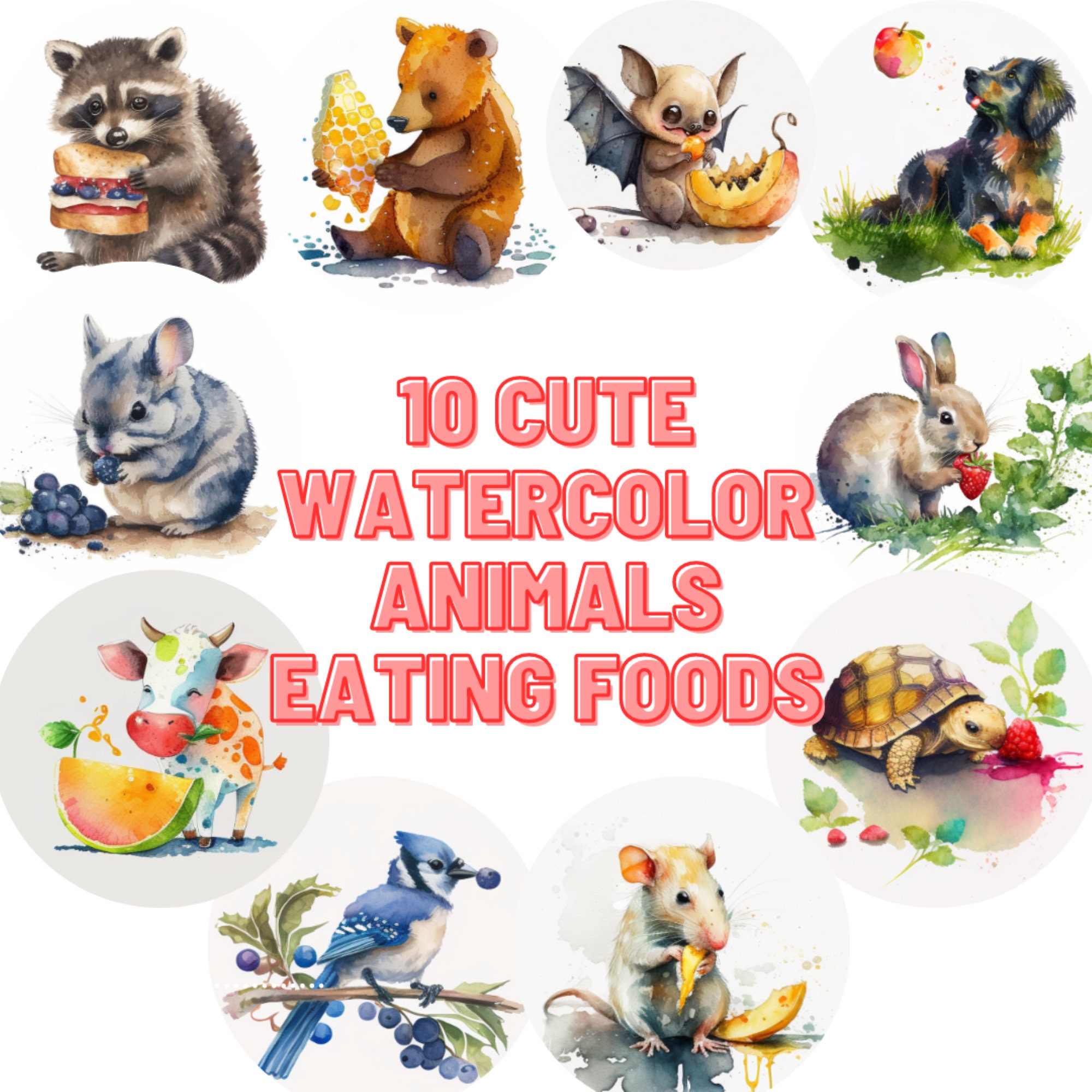 Cute Animals Eating Food