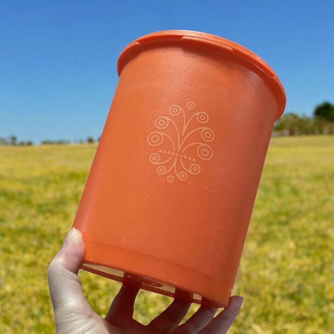 Vintage Tupperware Orange Harvest Kitchen Canister Boho Granny Chic ...