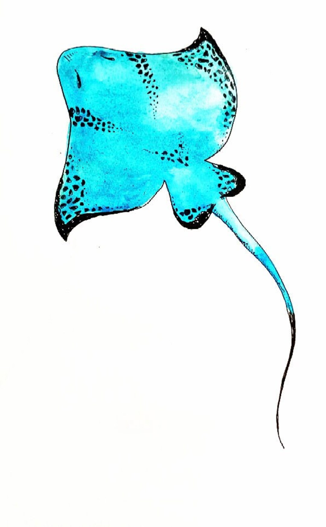 Ray Fish Cartoon Drawing - Etsy