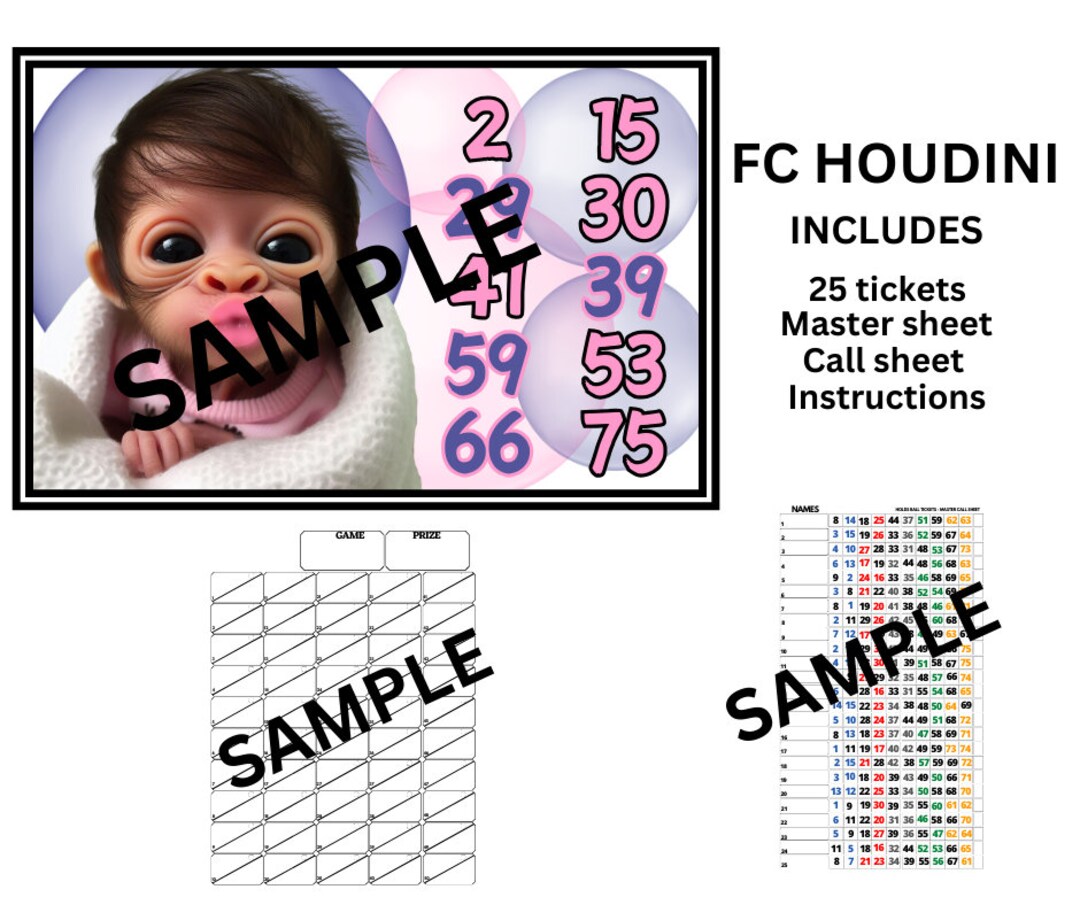 Full Card Houdini Bingo Holds - Etsy
