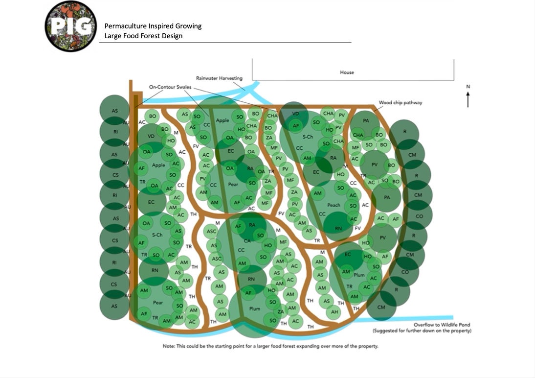 Large Food Forest - Ready Made, Pre-made, Permaculture Garden Design ...