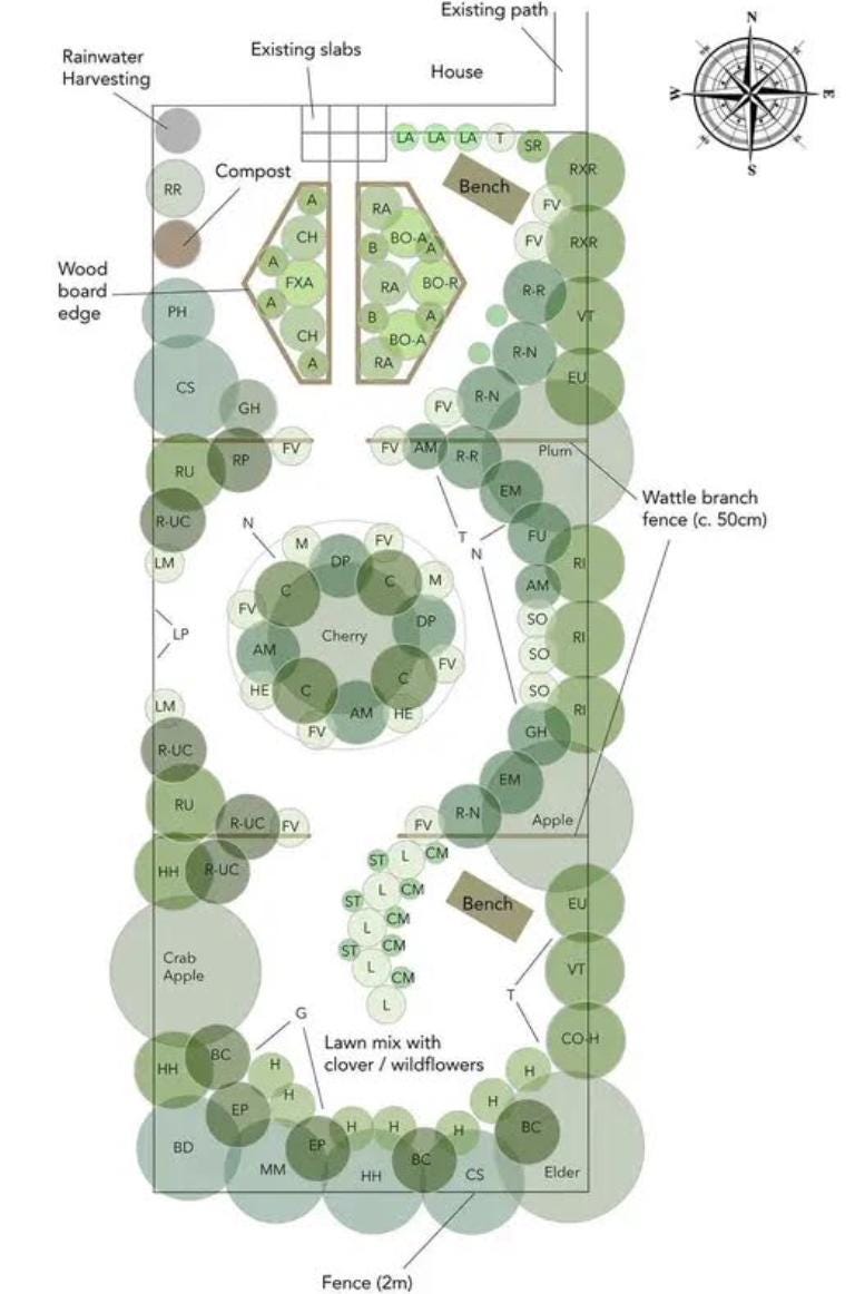 Eco Garden Arrangement Landscape Design - Includes 2D Coloured Plan ...