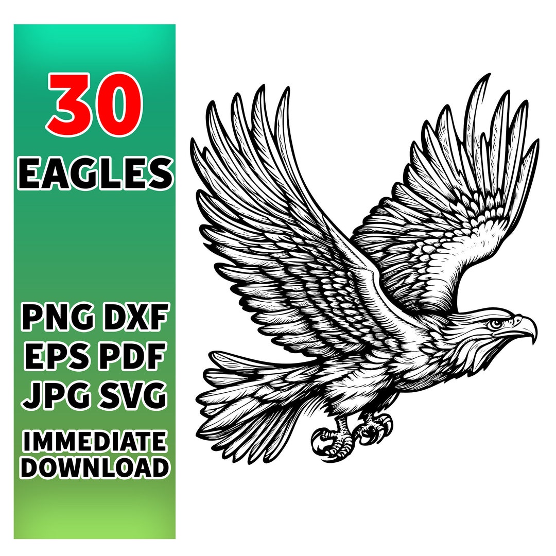 Eagle Head SVG Bundle: Bird of Prey Decals (30 Digital Designs) - Etsy