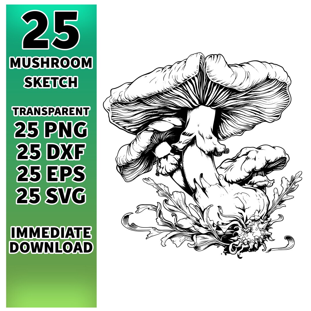 Mushroom Vector Clipart Set Bundle / Outline Stamp Graphics ...