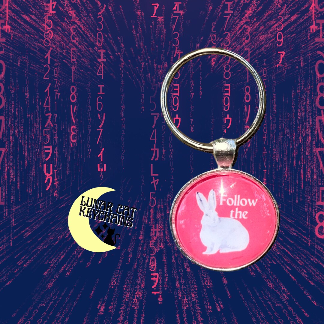 Follow the Rabbit Keychain; Matrix Alice in Wonderland Trip; Red Pill ...