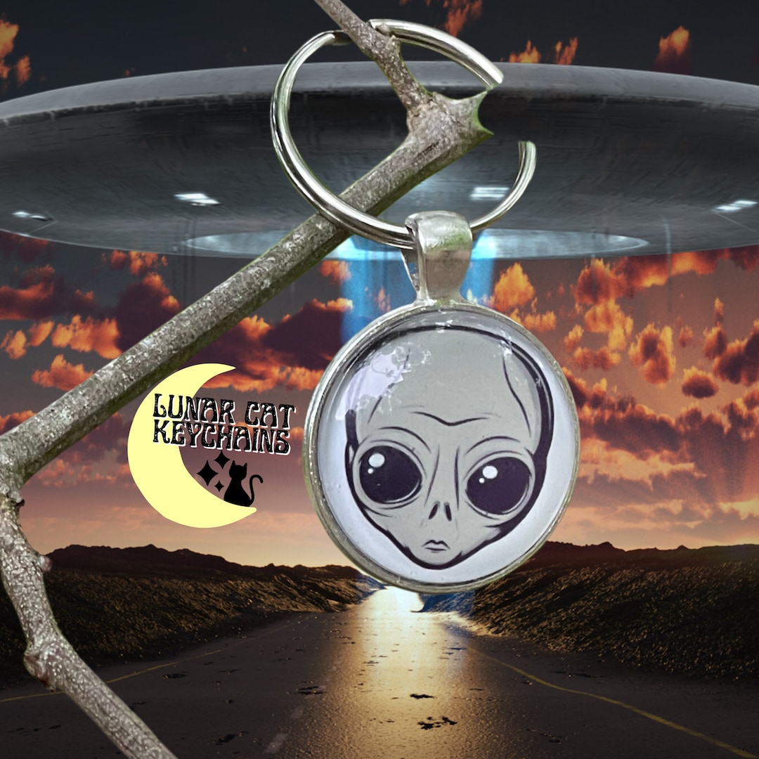 Giant Alien Head; Spaceman Keychain; Area 51 UFO X-files Key Ring - Etsy