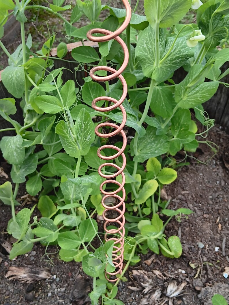 6 PACK JUMBO Copper Electroculture Stakes Garden Rods Antenna Coils, 5 ...