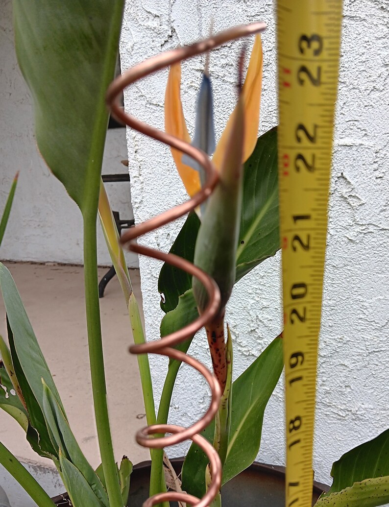 6 PACK JUMBO Copper Electroculture Stakes Garden Rods Antenna Coils, 5 ...