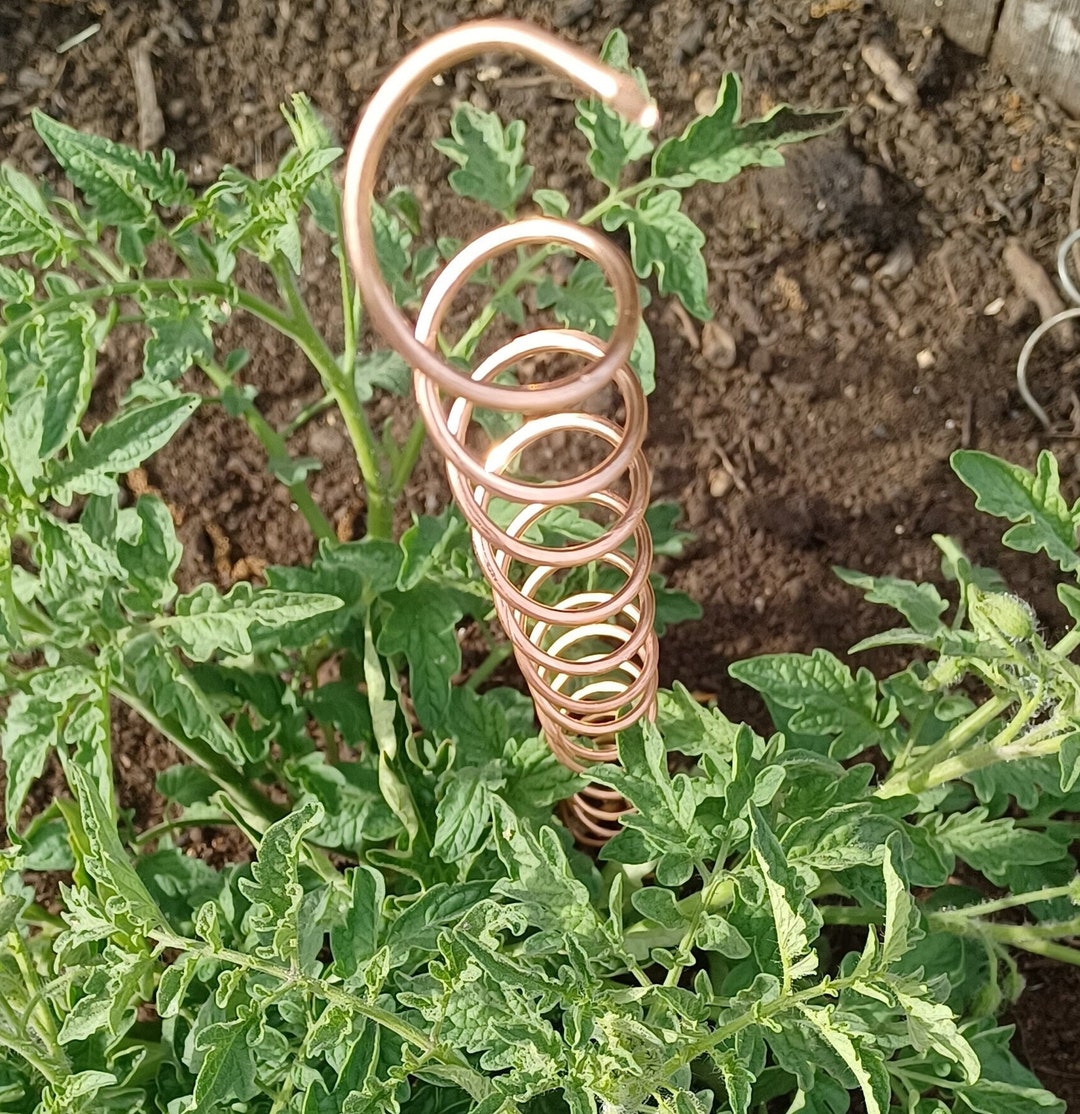 9 PACK Large Electroculture Copper Garden Stakes High Purity 99.9% ...