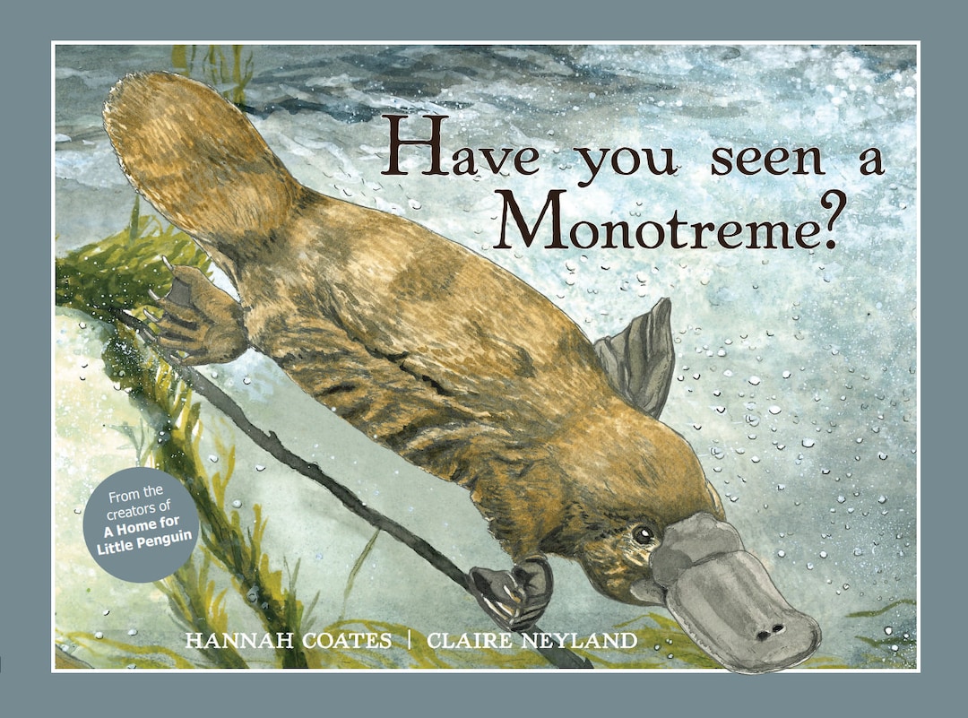 Children's Book (platypus): 'have You Seen A Monotreme?' - Etsy