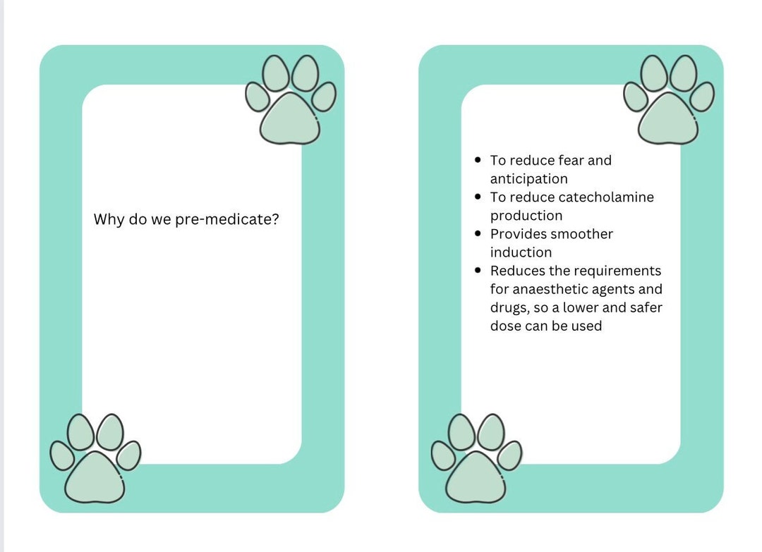 Veterinary Revision Cards - Etsy