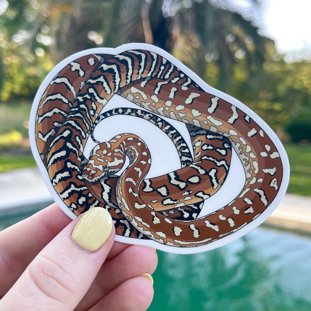 Carpet Python Sticker Bredls Python Bredli Python - Etsy