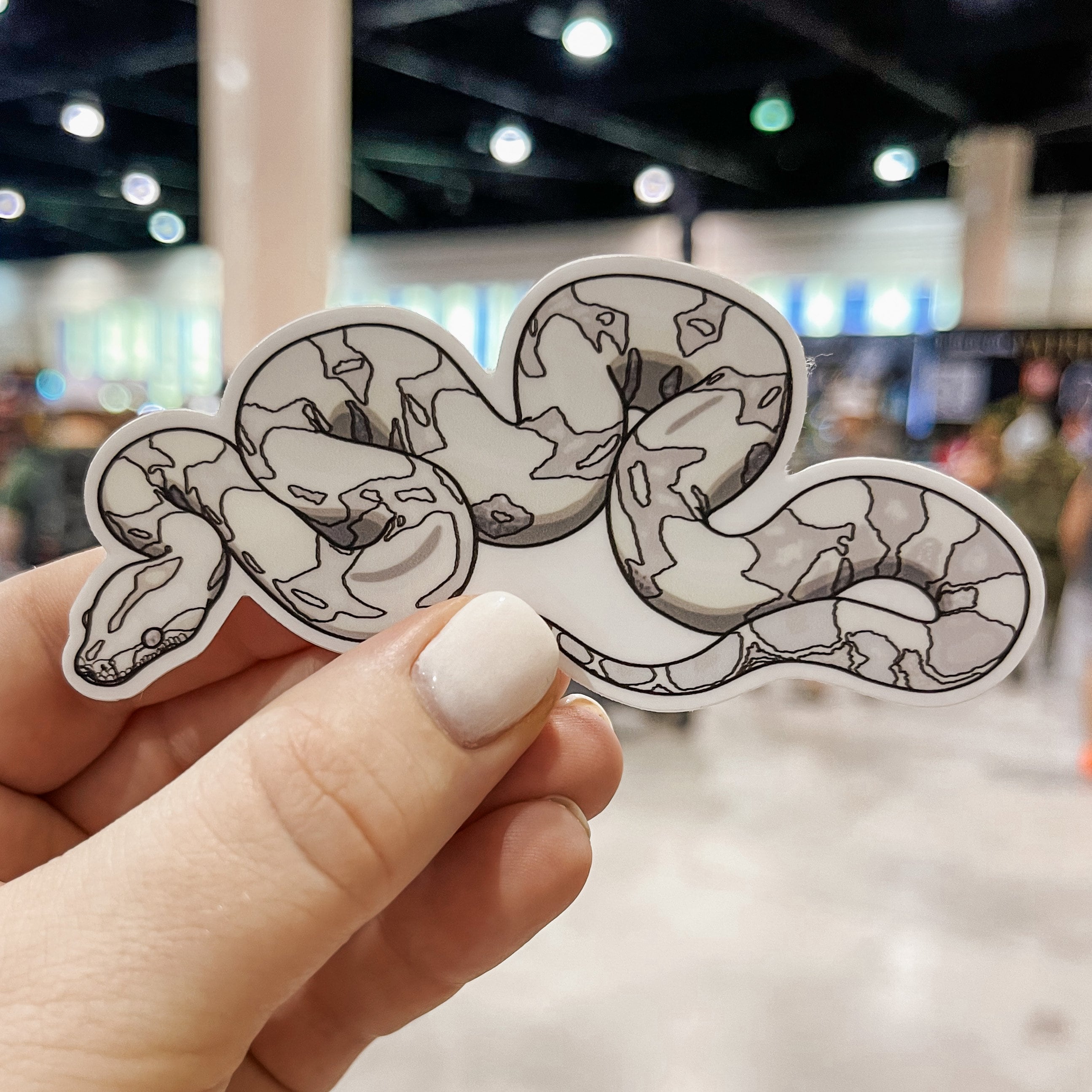 MULTIPLE MORPHS Boa Sticker Bci Boa Sticker Normal Boa - Etsy