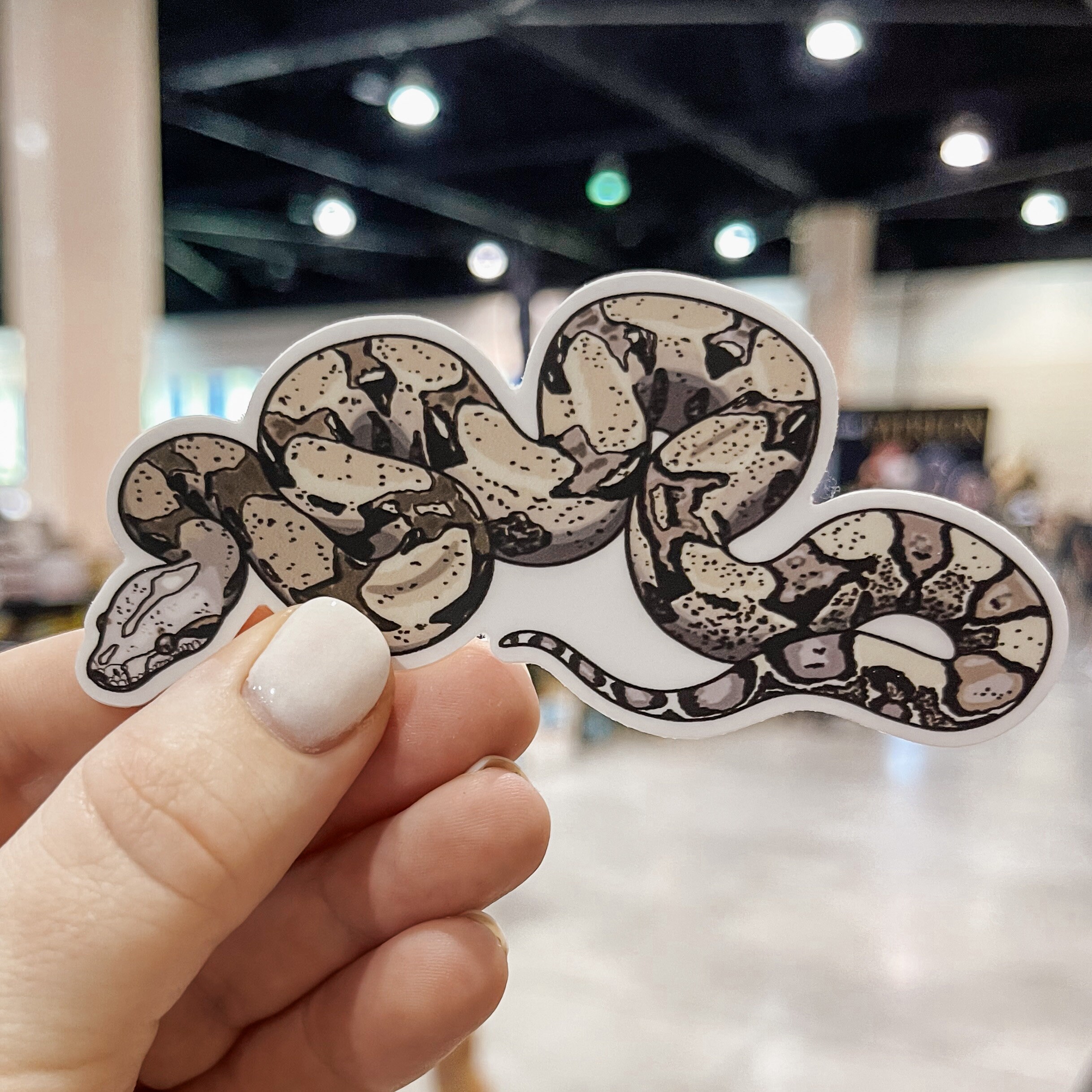MULTIPLE MORPHS Boa Sticker Bci Boa Sticker Normal Boa - Etsy