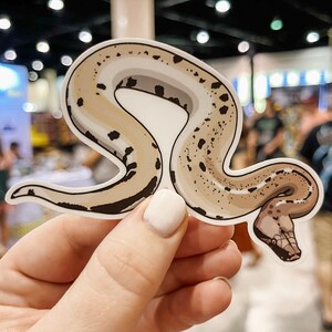 MULTIPLE TYPES Blood Python Sticker Borneo Sticker Magpie Ivory - Etsy