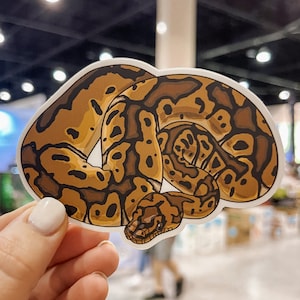 MULTIPLE MORPHS Ball Python Sticker | Normal | Piebald | Banana ...
