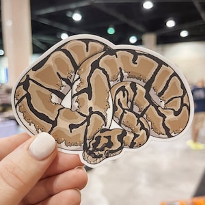 MULTIPLE MORPHS Ball Python Sticker | Normal | Piebald | Banana ...