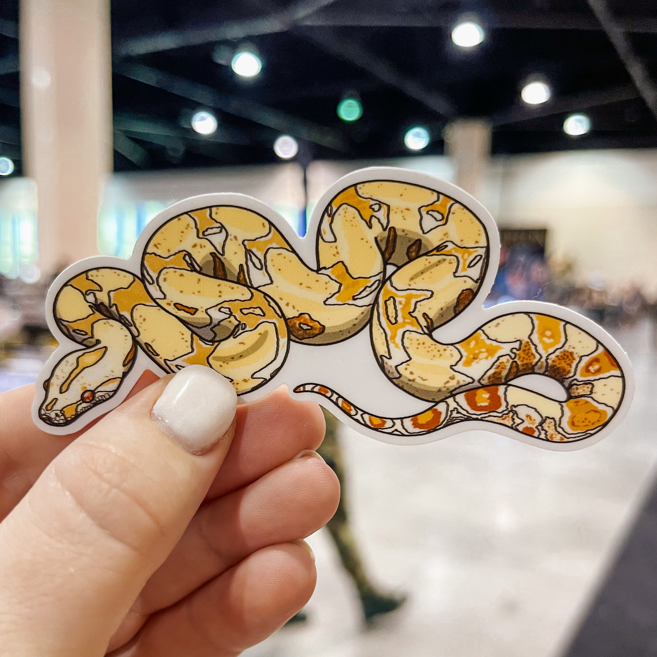 MULTIPLE MORPHS Boa Sticker Bci Boa Sticker Normal Boa - Etsy