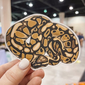 MULTIPLE MORPHS Ball Python Sticker | Normal | Piebald | Banana ...