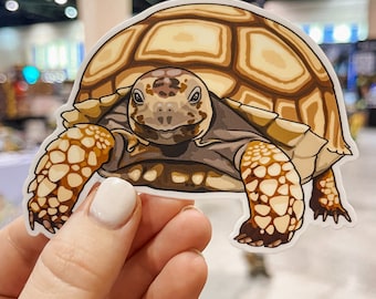 Tortoise Sticker - Etsy