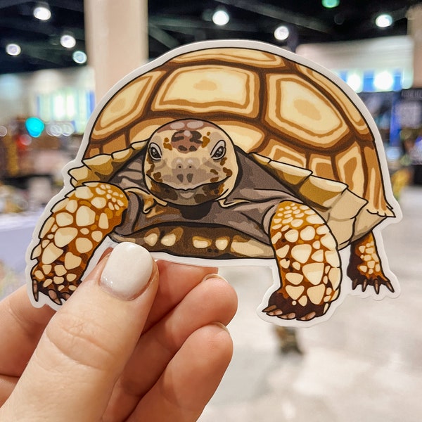 Tortoise Art - Etsy