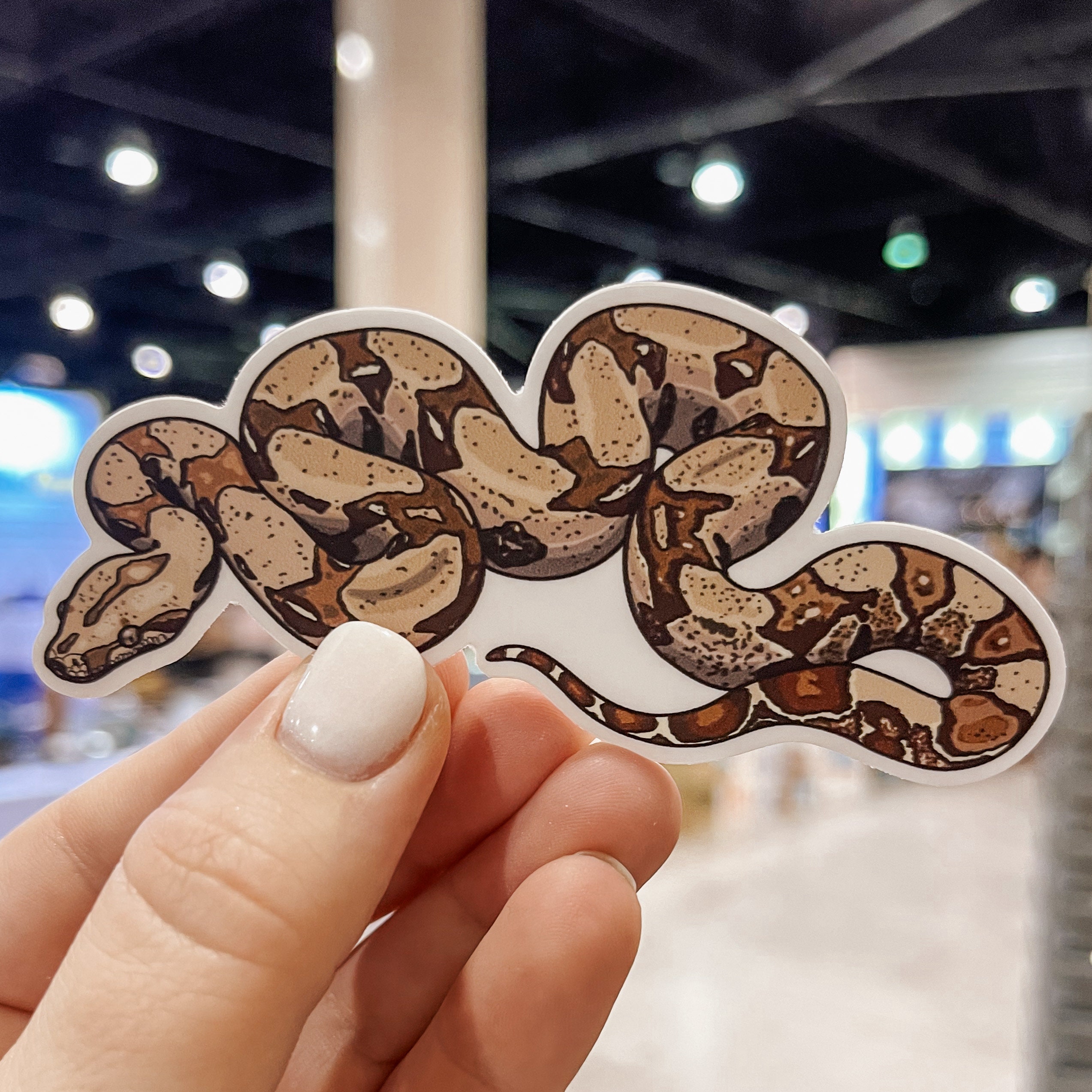 MULTIPLE MORPHS Boa Sticker Bci Boa Sticker Normal Boa - Etsy