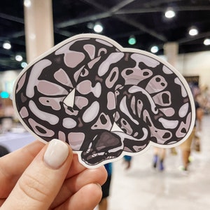 MULTIPLE MORPHS Ball Python Sticker | Normal | Piebald | Banana ...
