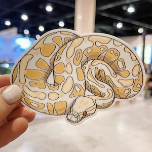 MULTIPLE MORPHS Ball Python Sticker | Normal | Piebald | Banana ...
