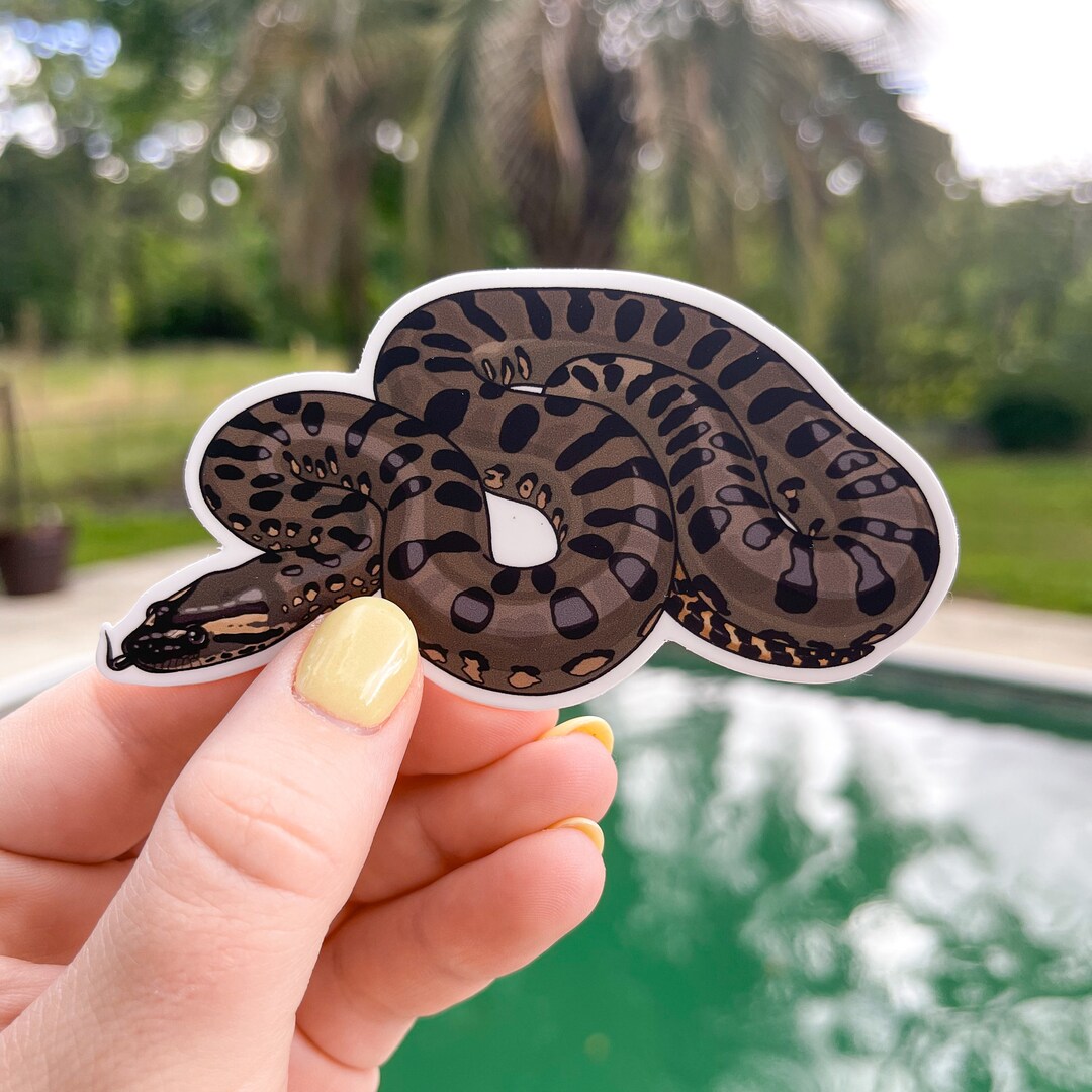 Anaconda Sticker Green Anaconda - Etsy
