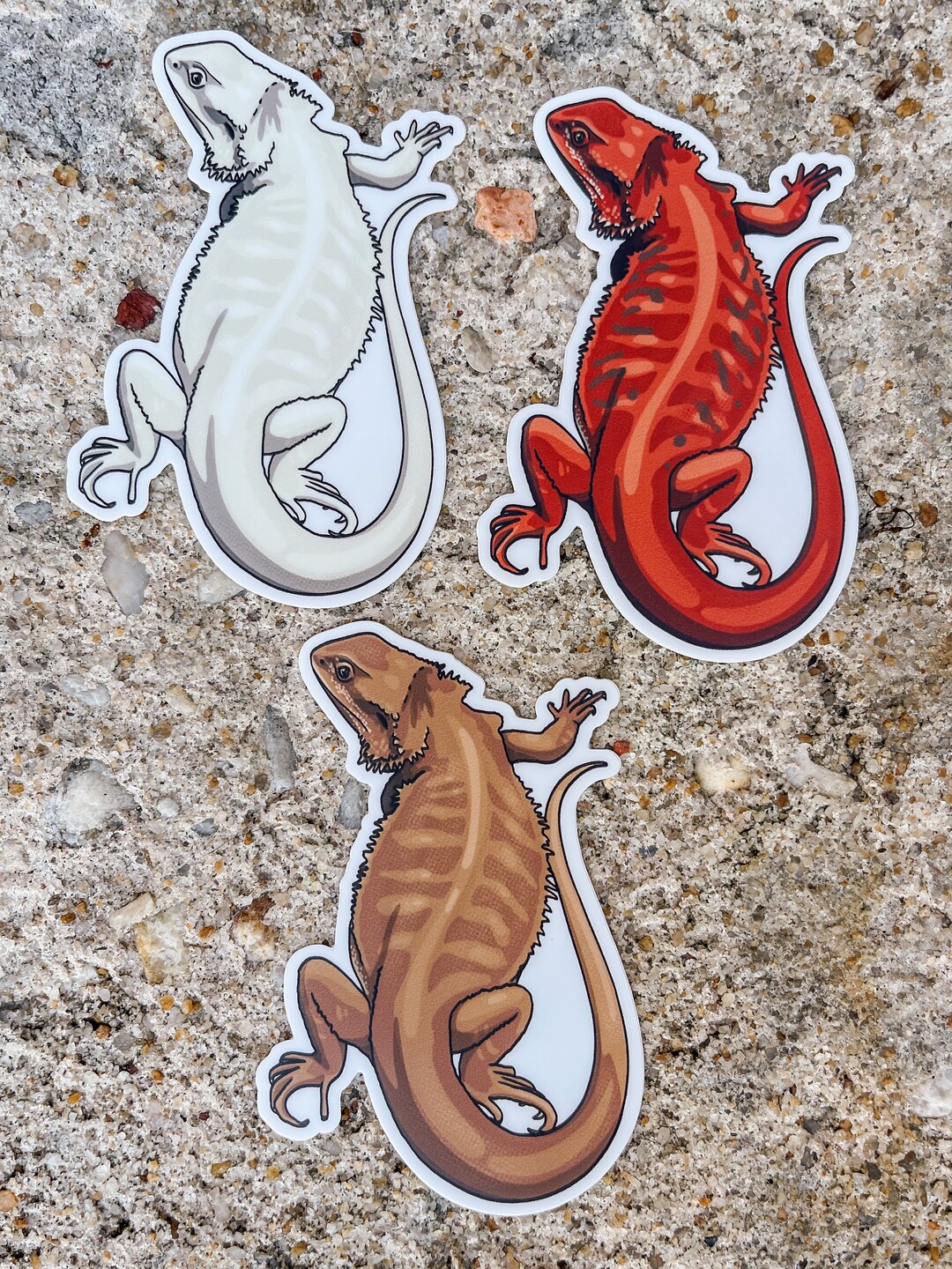 MULTIPLE MORPHS Bearded Dragon Sticker - Etsy