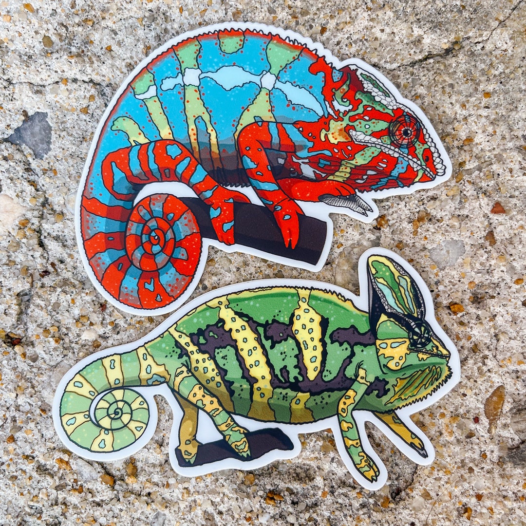 MULTIPLE TYPES Chameleon Sticker | Panther Chameleon Sticker | Veiled ...