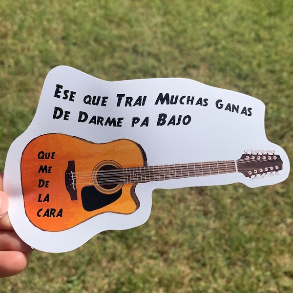 12 String Guitar - Etsy