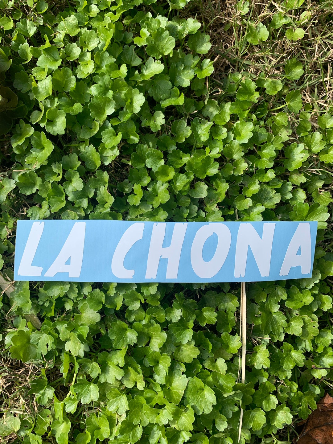 La Chona Decal Sticker Funny Mexican Sticker Girlfreind Gift Truck ...