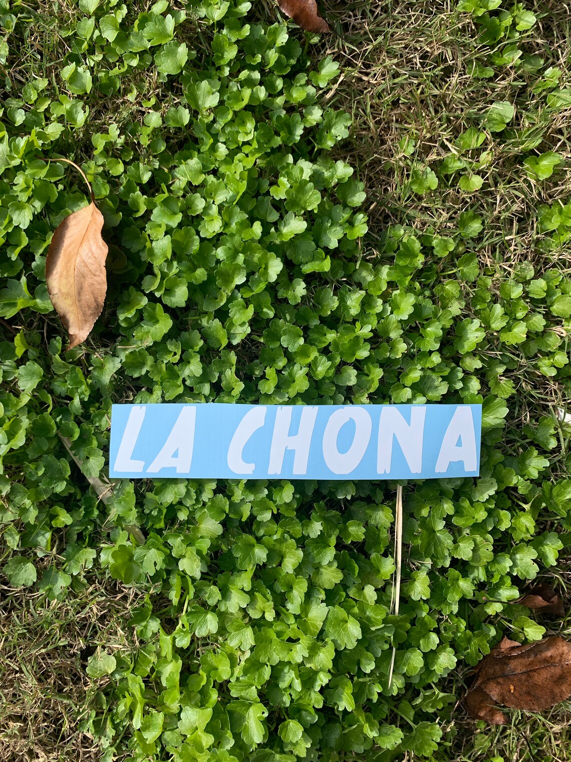 La Chona Decal Sticker Funny Mexican Sticker Girlfreind Gift Truck ...