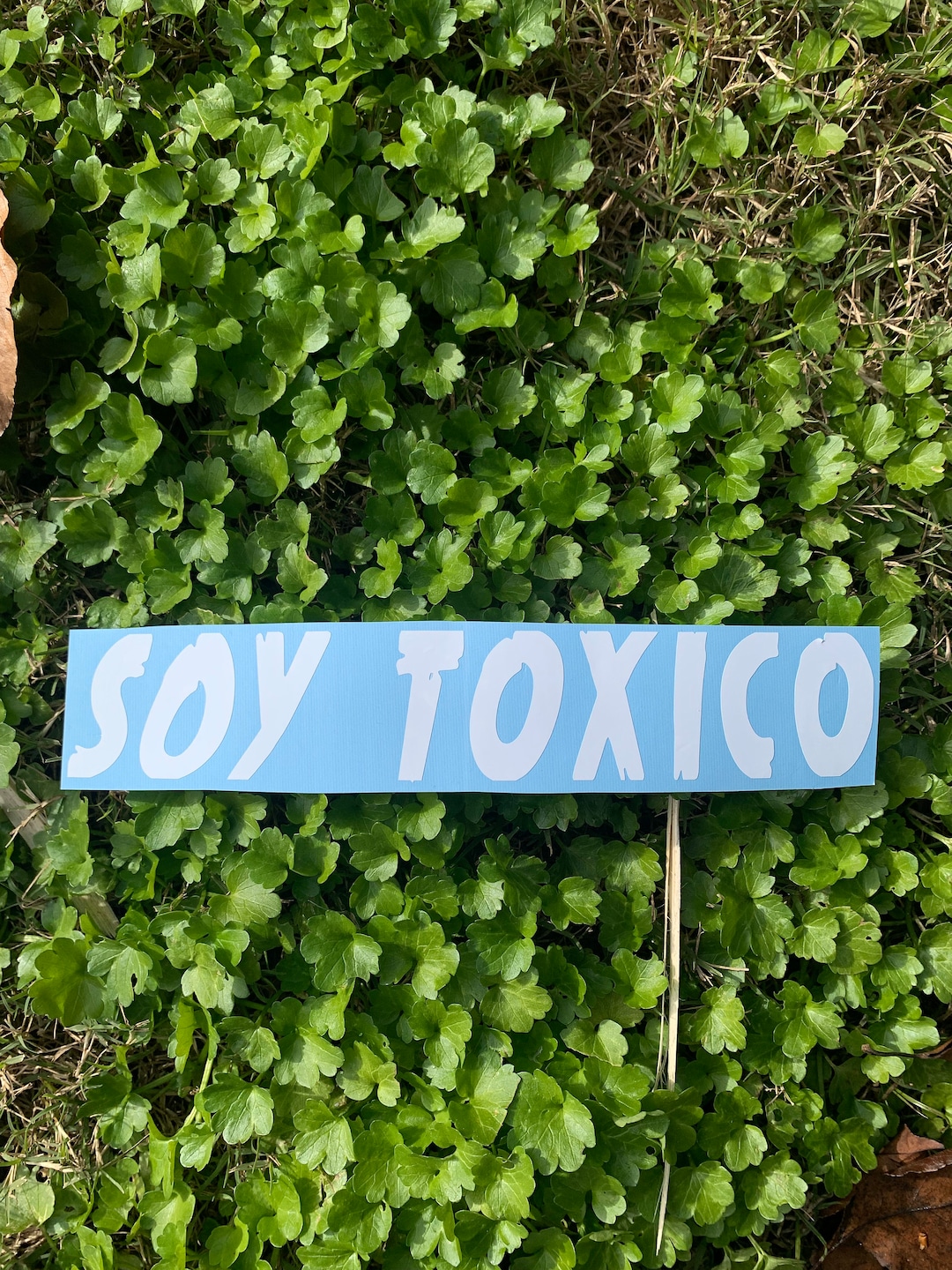 Soy Toxico Decal Sticker Funny Mexican Phrases Funny Mexican Sticker ...